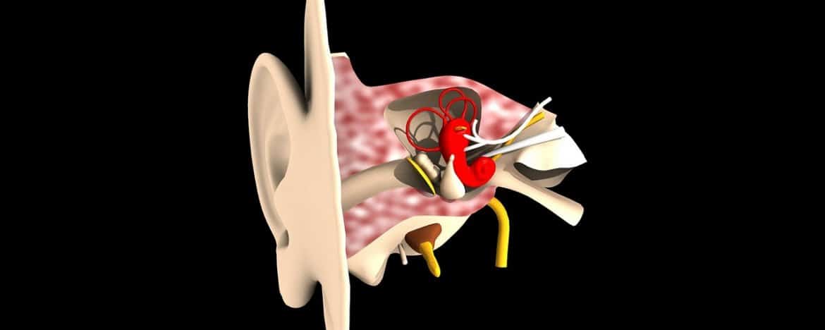 Oorsuizen bij burn-out, overspannenheid en stress.